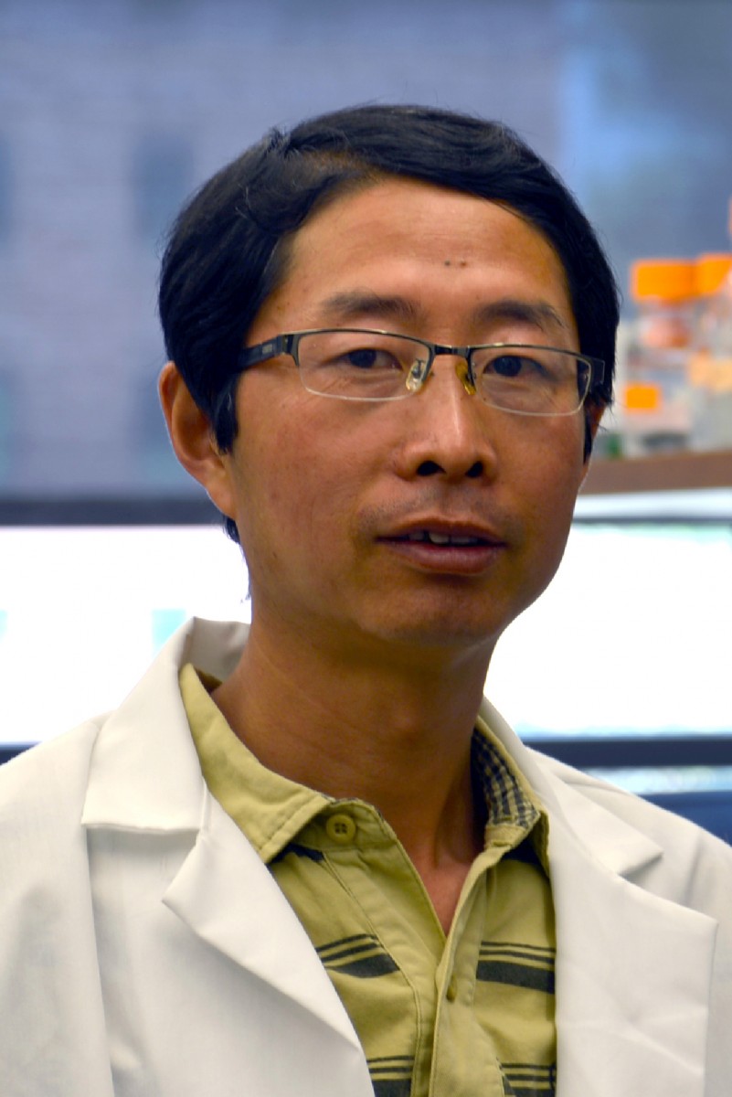 Liwei Liu, MD. | Zhong Research Lab